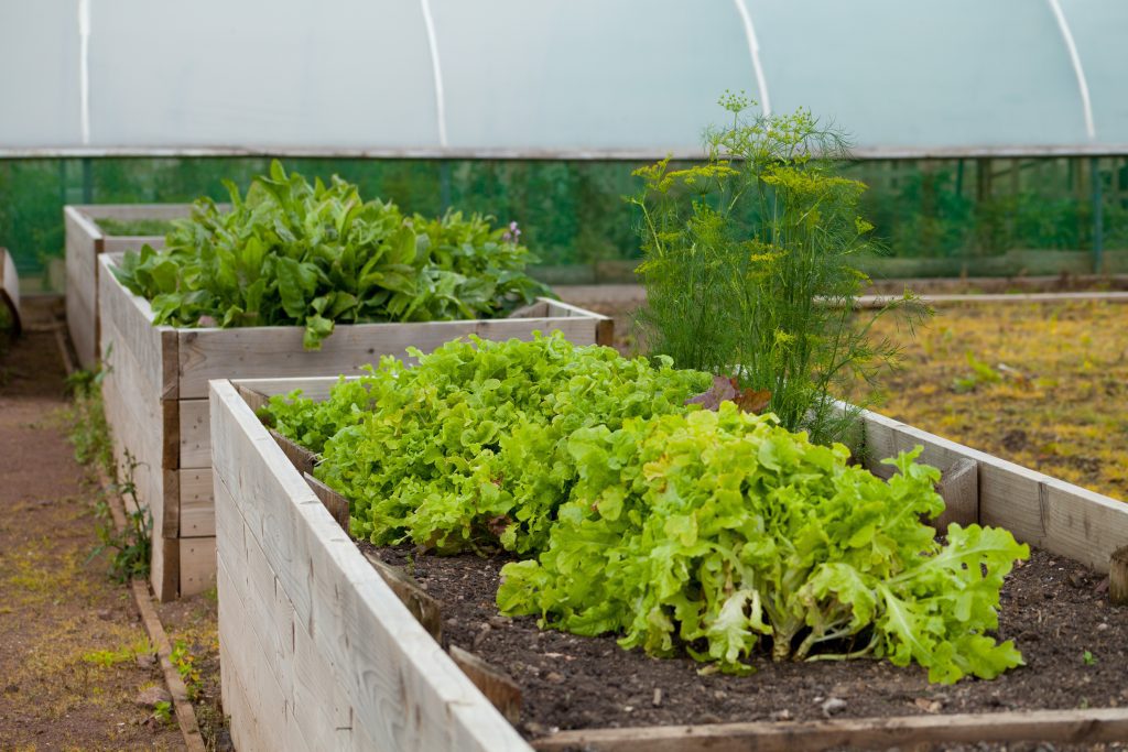 Set Up The Perfect Grow Box With These Seven Tips!
